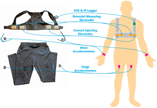 Sensors | Free Full-Text | Fusion of Heart Rate, Respiration and Motion ...