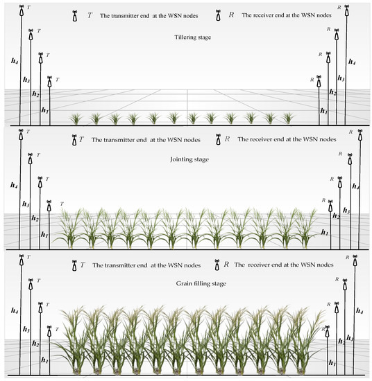 Wireless Channel Propagation Characteristics and Modeling Research in ...