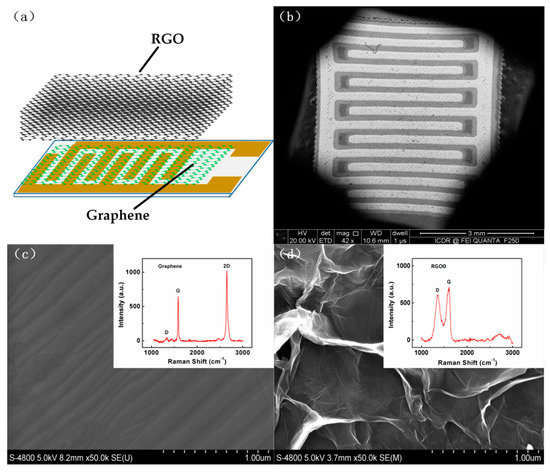 Sensors | Free Full-Text | A Reduced GO-Graphene Hybrid Gas Sensor for ...