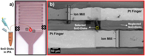 A Gas Sensor Based on a Single SnO Micro-Disk