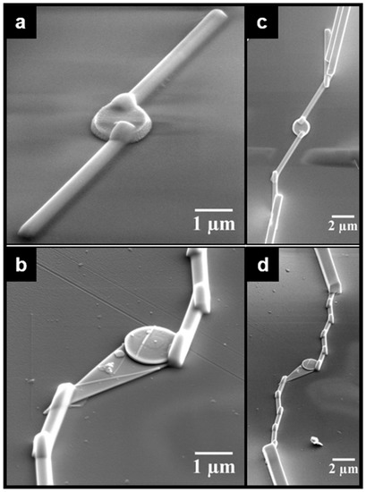 A Gas Sensor Based on a Single SnO Micro-Disk