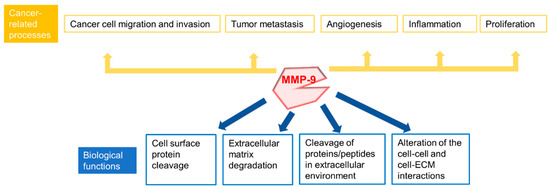Matrix Metalloproteinase-9 (MMP-9) as a Cancer Biomarker and MMP-9 ...