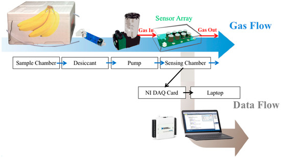 Development of a Dual MOS Electronic Nose/Camera System for Improving ...
