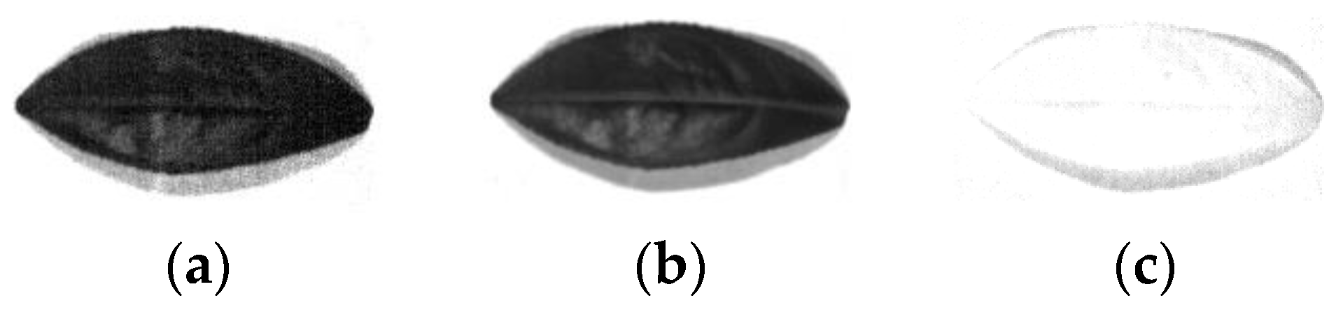 A Prediction Based Spatial Spectral Adaptive Hyperspectral Compressive Sensing Algorithm