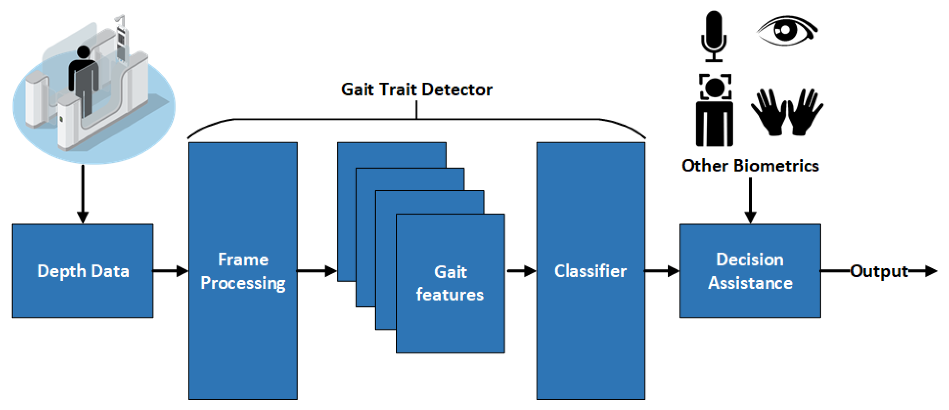 Gait Type Analysis Using Dynamic Bayesian Networks