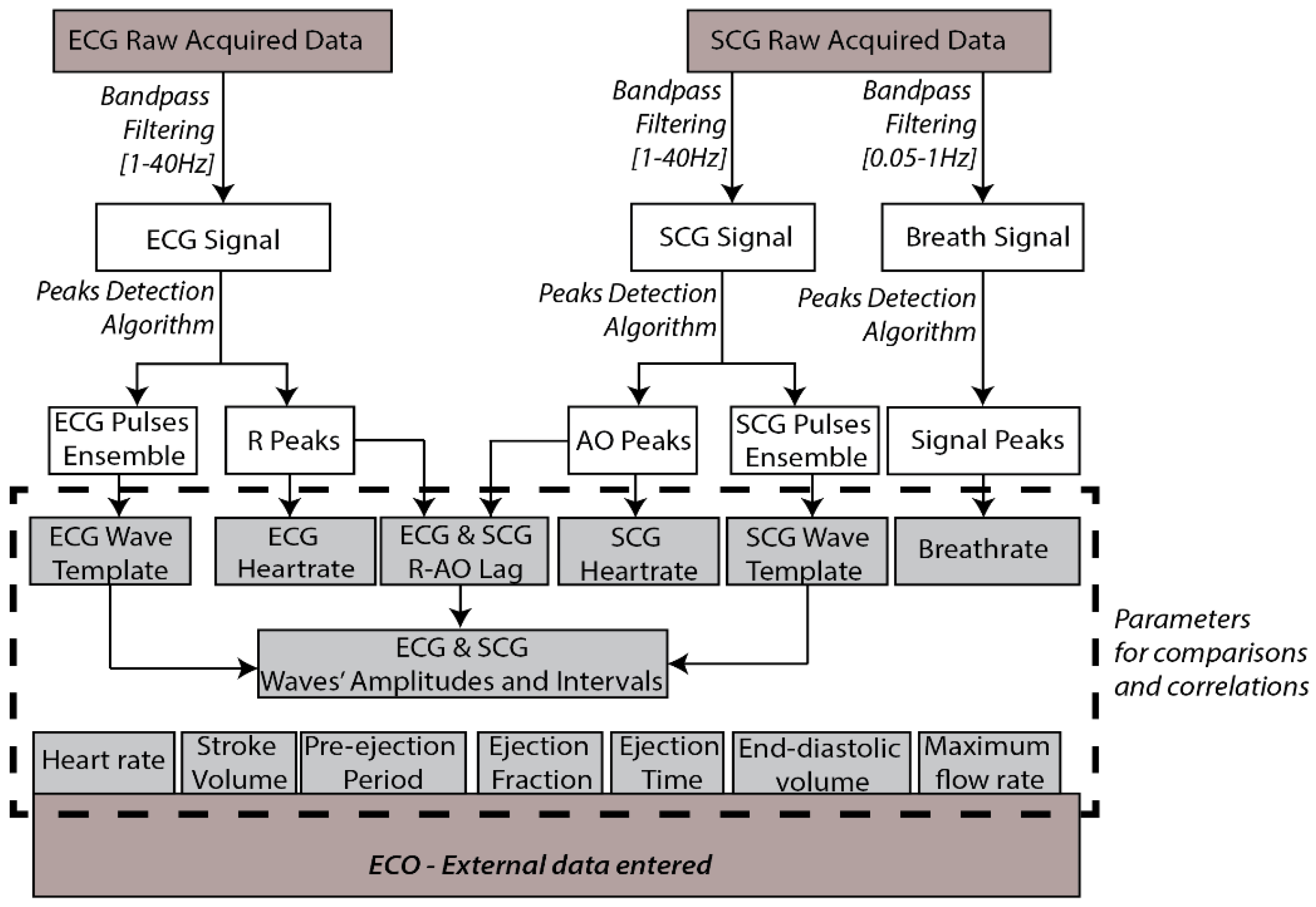 High-Resolution Seismocardiogram Acquisition and Analysis System