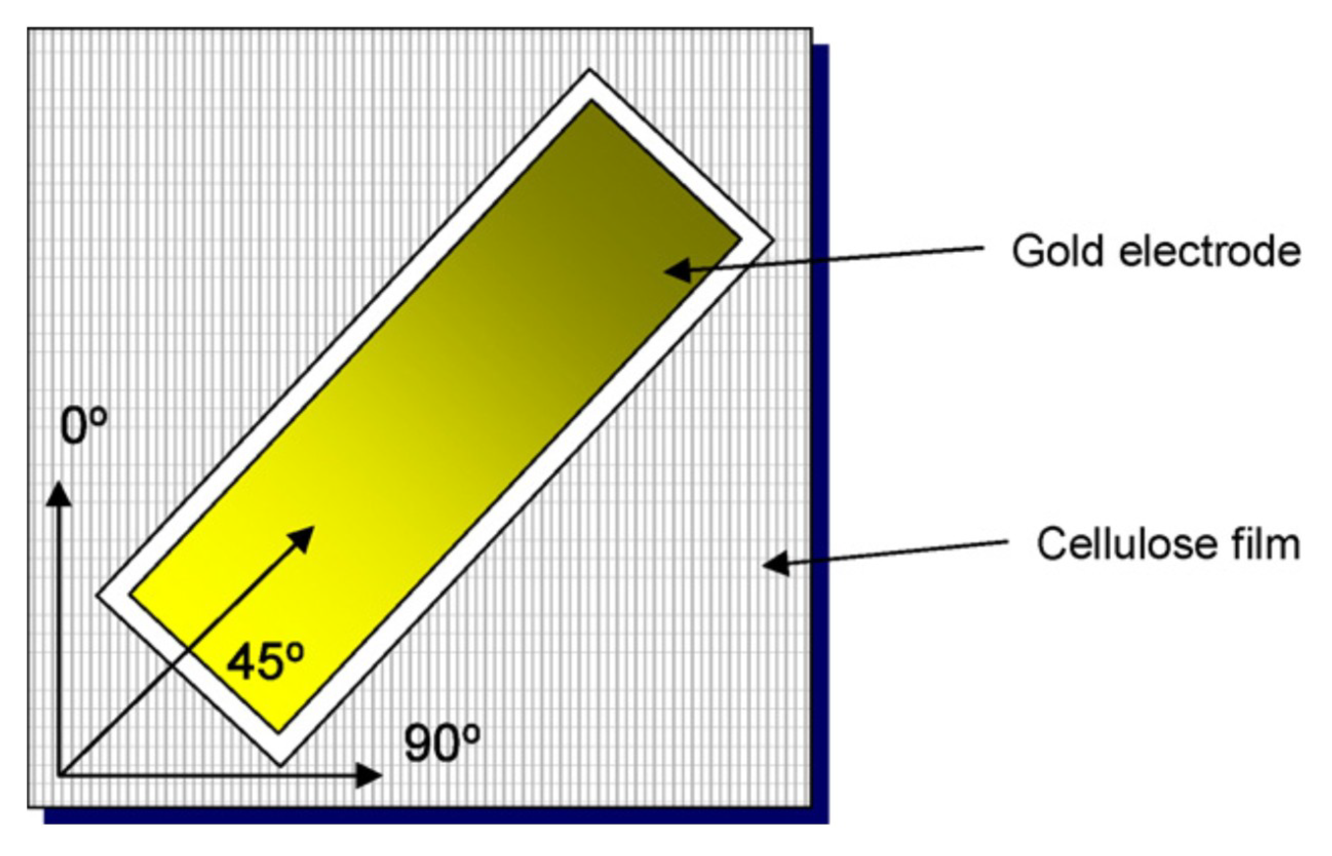 Electro-Active Paper as a Flexible Mechanical Sensor, Actuator and ...