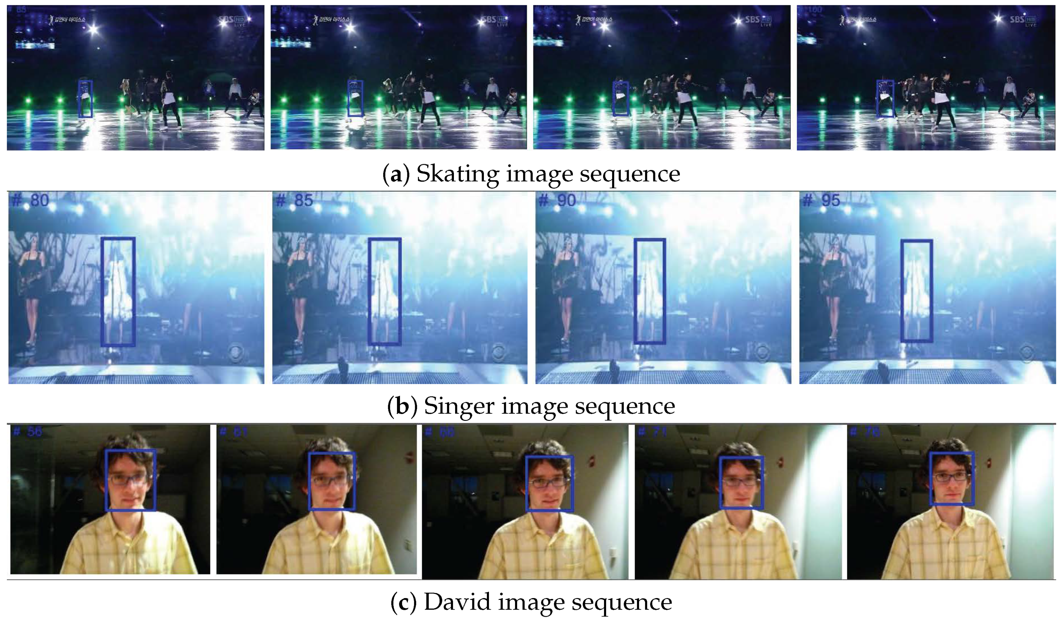 Sensors Free Full Text Visual Object Tracking Using Structured Sparse Pca Based Appearance