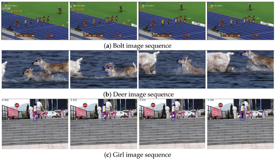 Sensors Free Full Text Visual Object Tracking Using Structured Sparse Pca Based Appearance