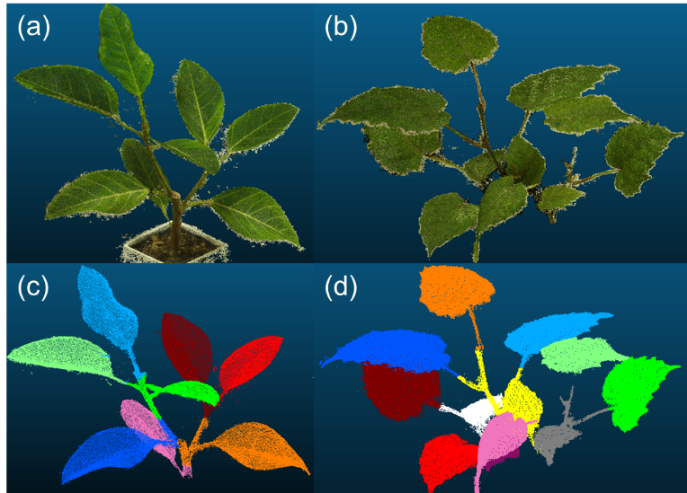 Sensors | Free Full-Text | Automatic Leaf Segmentation for Estimating Leaf Area and Leaf ...