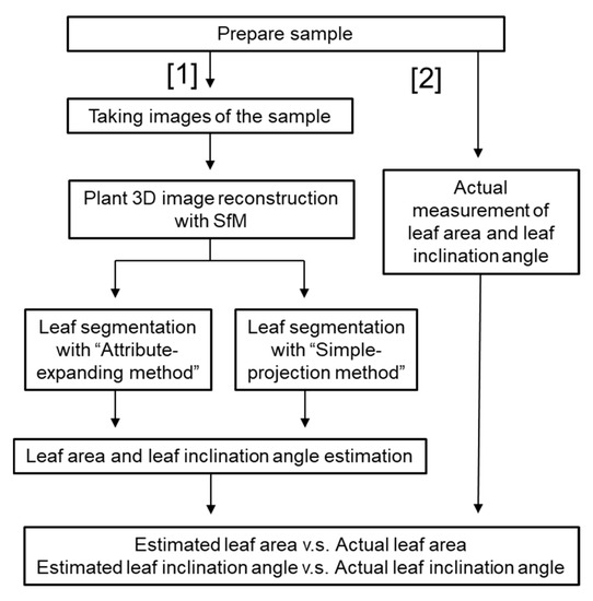 Automatic Leaf Segmentation for Estimating Leaf Area and Leaf ...