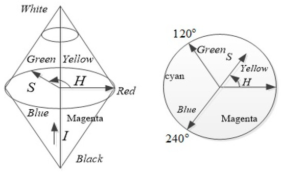 A Low-Light Sensor Image Enhancement Algorithm Based on HSI Color Model