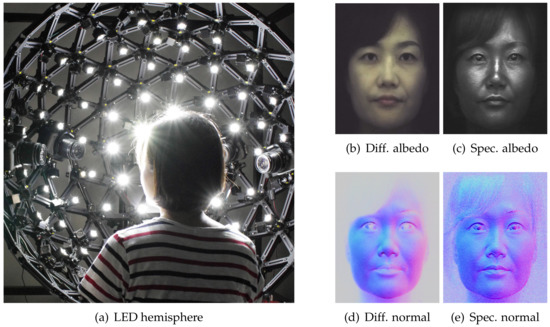Polarized Light Field Imaging for Single-Shot Reflectance Separation