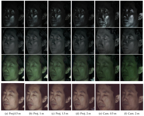 Polarized Light Field Imaging for Single-Shot Reflectance Separation