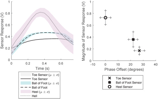 Multi-Functional Soft Strain Sensors for Wearable Physiological Monitoring