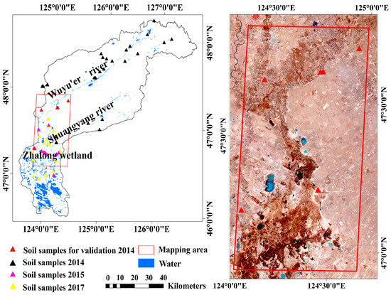 Alkalinization Of Soil