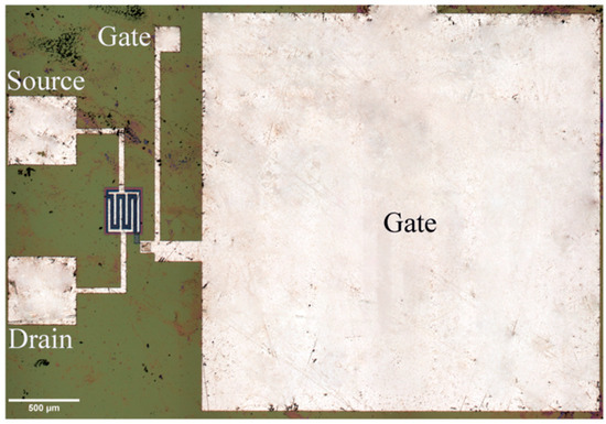 EGFET-Based Sensors for Bioanalytical Applications: A Review