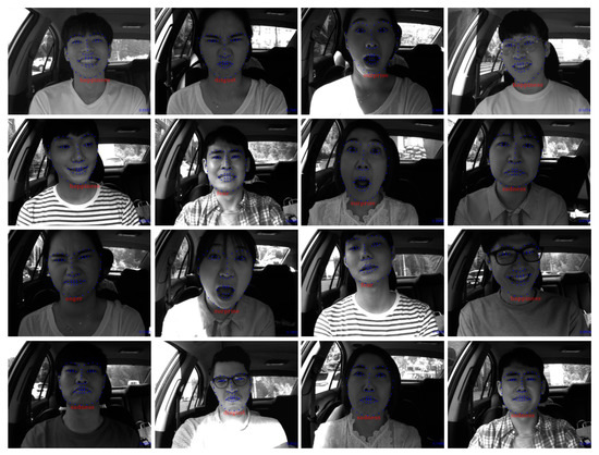 Driver’s Facial Expression Recognition in Real-Time for Safe Driving