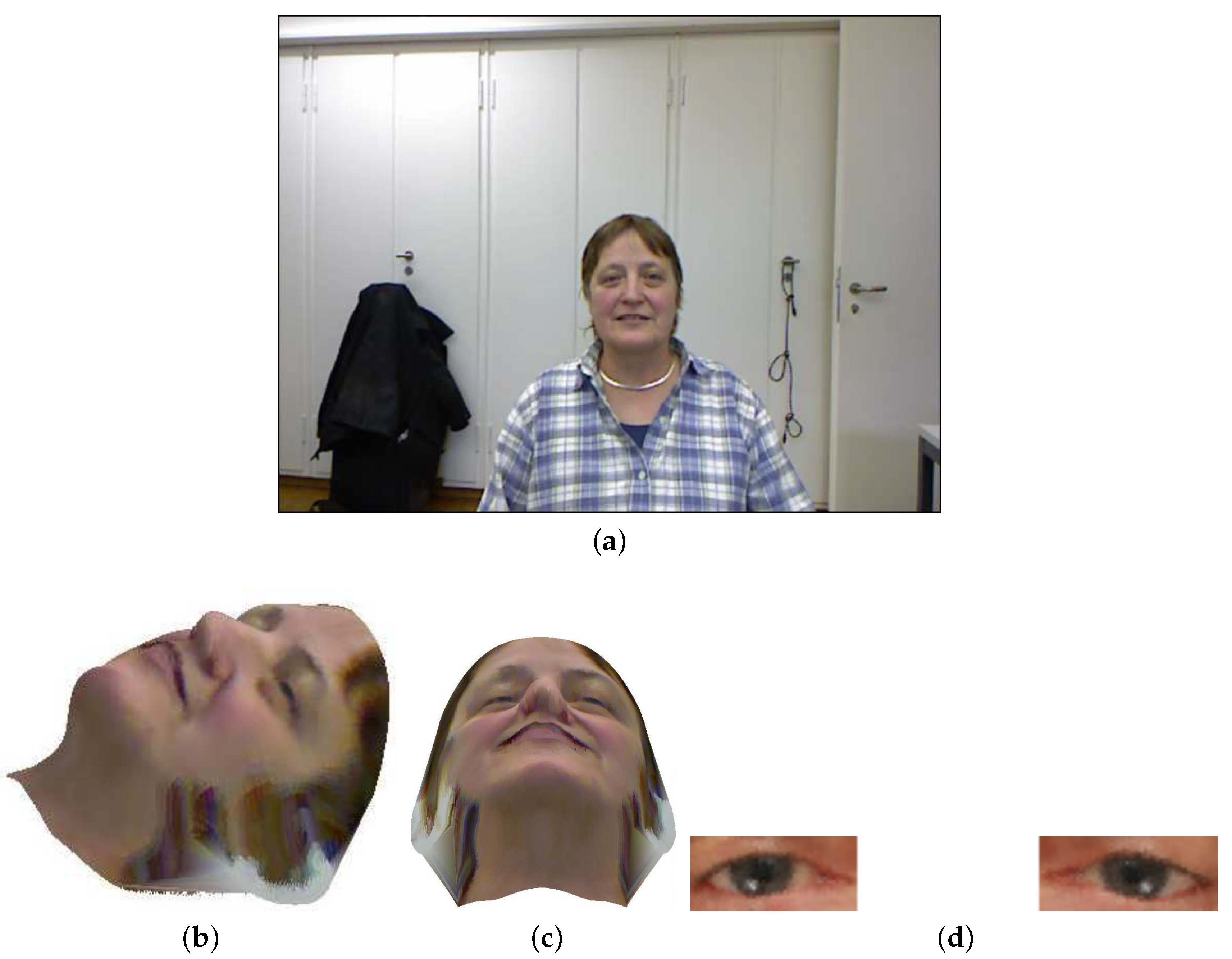 Sensors | Free Full-Text | Highly Accurate and Fully Automatic 3D Head Pose Estimation and Eye ...
