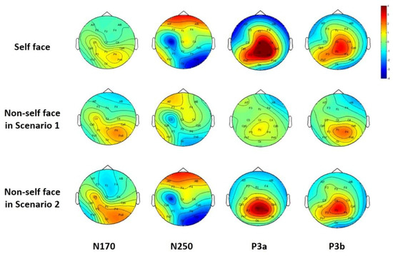 EEG-Based Identity Authentication Framework Using Face Rapid Serial Visual Presentation with ...