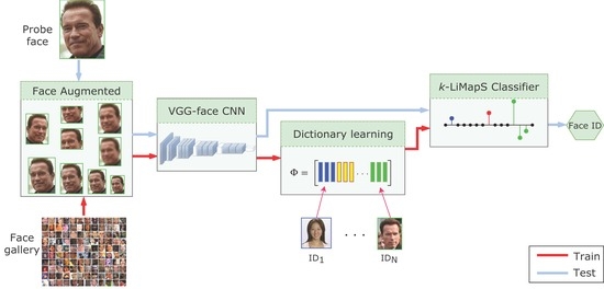 Sensors | Free Full-Text | Robust Single-Sample Face Recognition by Sparsity-Driven Sub ...