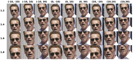 Sensors | Free Full-Text | Robust Single-Sample Face Recognition by Sparsity-Driven Sub ...