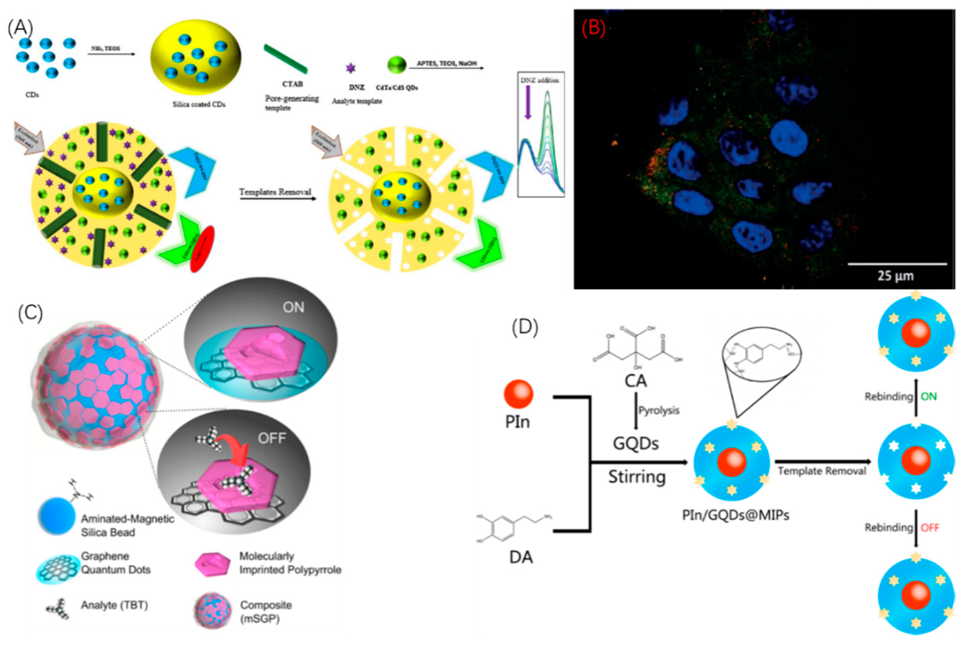 Advances in Molecularly Imprinting Technology for Bioanalytical ...