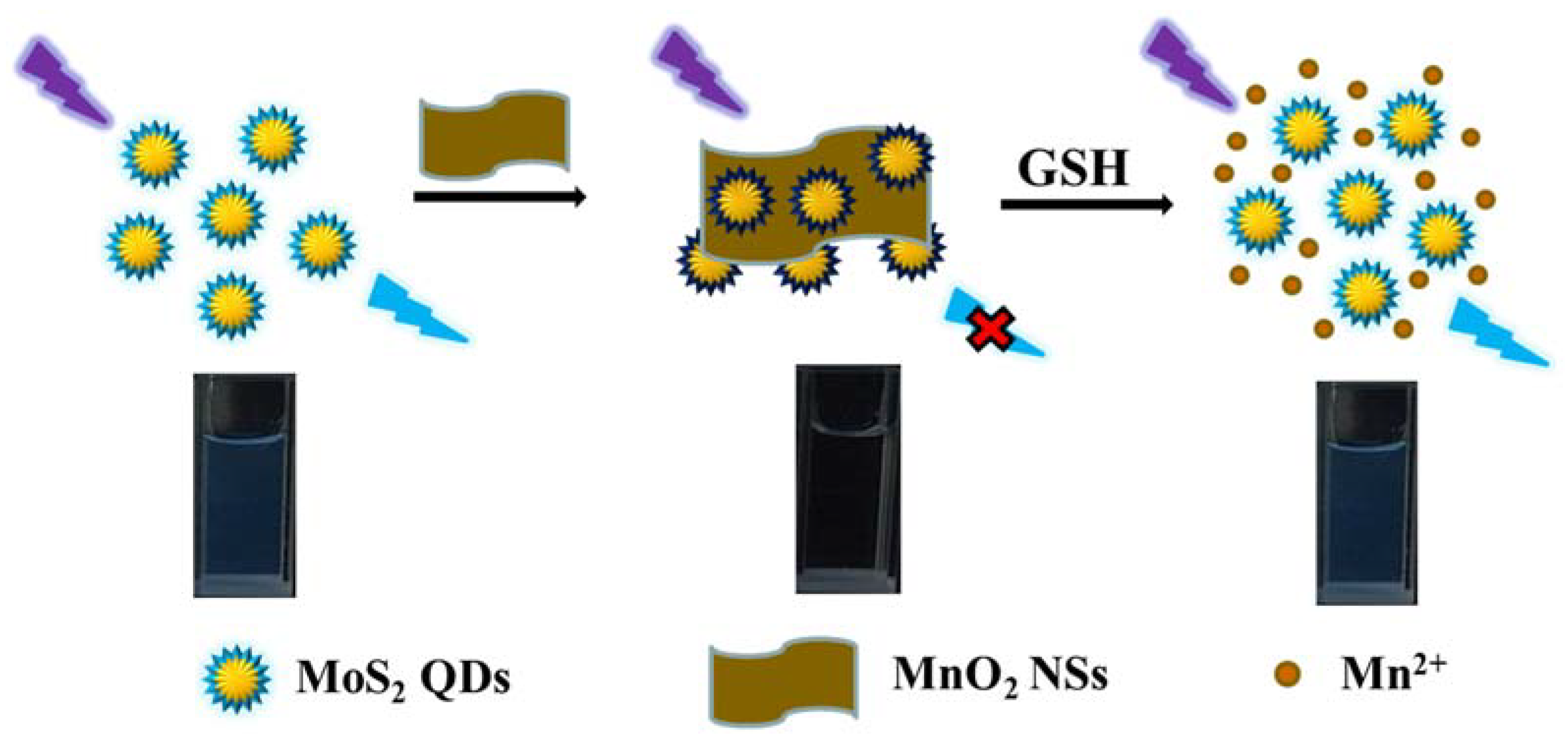 Sensors | Free Full-Text | A Fluorescence Inner-Filter Effect Based ...