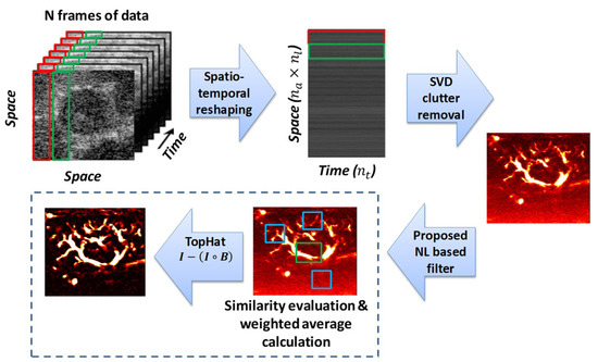 Non-Local Based Denoising Framework for In Vivo Contrast-Free Ultrasound Microvessel Imaging