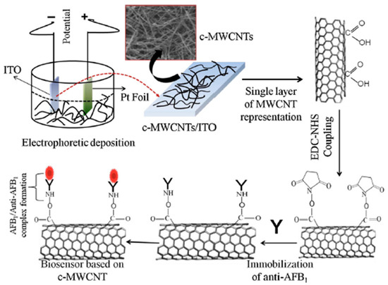 Sensors | Free Full-Text | Non-Covalent Functionalization of Carbon ...