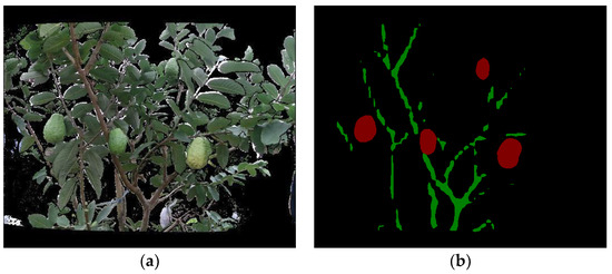 Guava Detection and Pose Estimation Using a Low-Cost RGB-D Sensor in ...