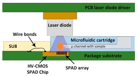 A Point-of-Care Device for Molecular Diagnosis Based on CMOS SPAD Detectors with Integrated ...