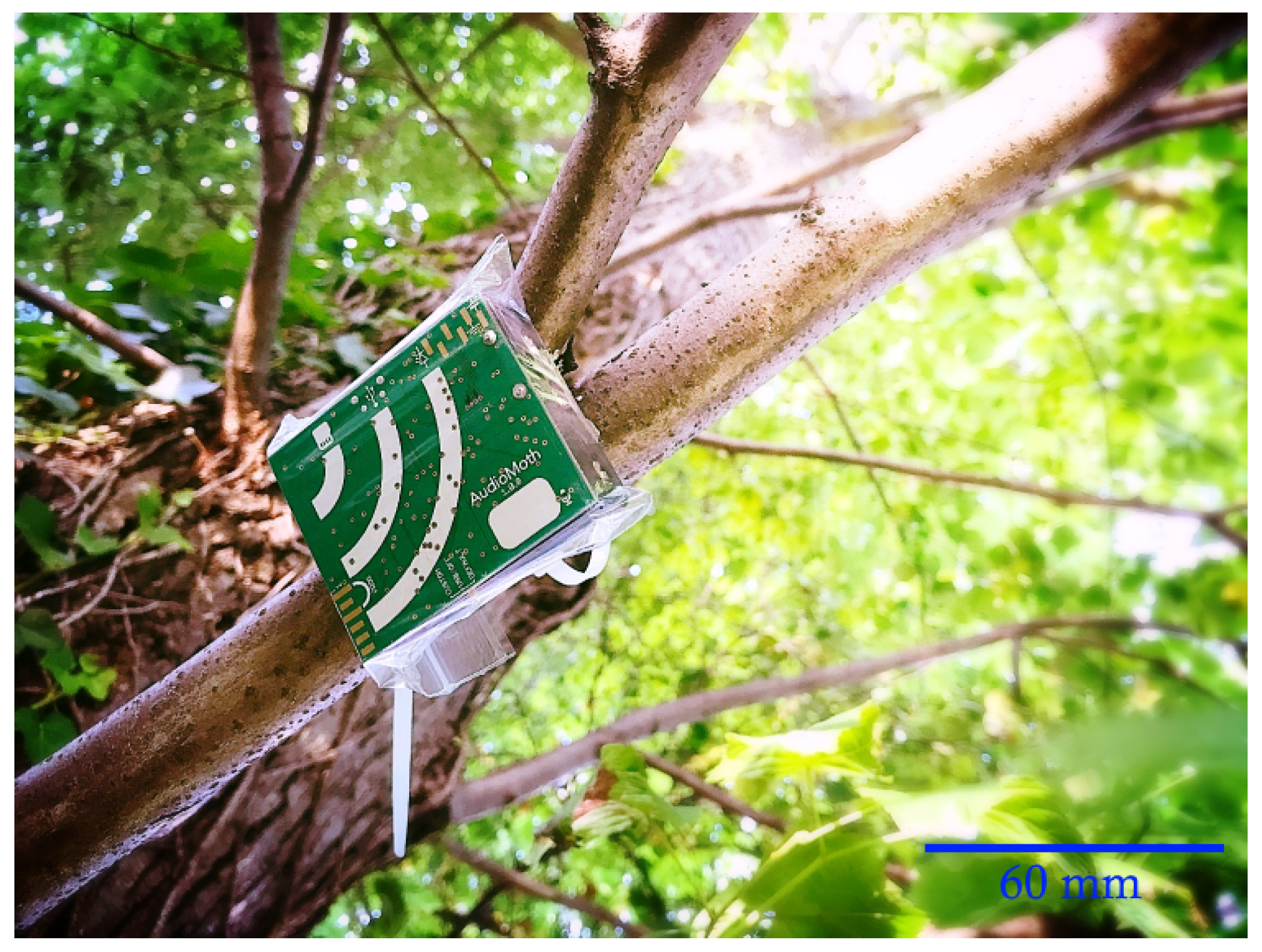Sensors Free Full Text Deploying Acoustic Detection Algorithms On Low Cost Open Source