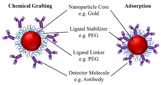 Designing Paper-Based Immunoassays for Biomedical Applications