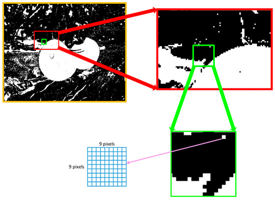 Automatic Recognition of Ripening Tomatoes by Combining Multi-Feature ...