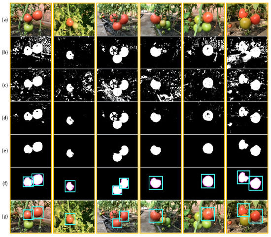 Automatic Recognition of Ripening Tomatoes by Combining Multi-Feature ...