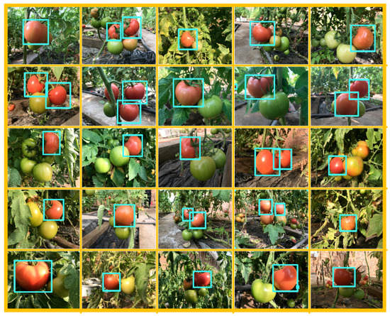 Automatic Recognition of Ripening Tomatoes by Combining Multi-Feature Fusion with a Bi-Layer ...