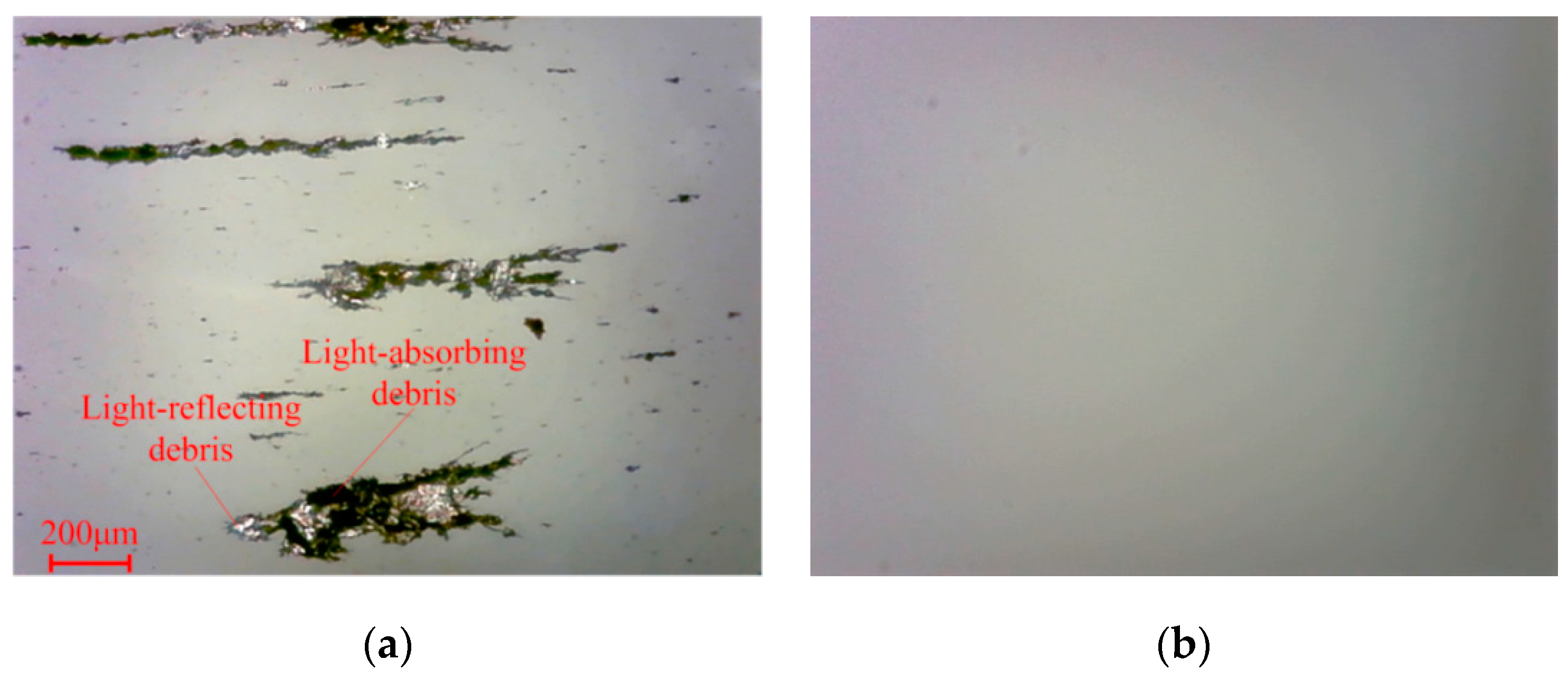 A Wear Debris Segmentation Method for Direct Reflection Online Visual Ferrography