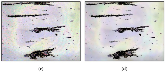 A Wear Debris Segmentation Method for Direct Reflection Online Visual ...