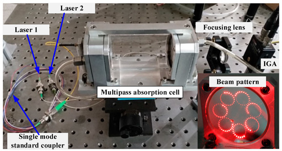 Dual-Gas Sensor of CH4/C2H6 Based on Wavelength Modulation Spectroscopy ...