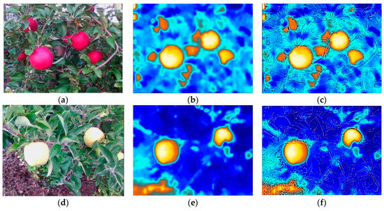 Apple Fruit Recognition Algorithm Based on Multi-Spectral Dynamic Image ...