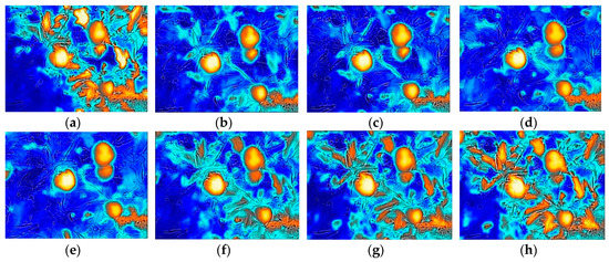 Apple Fruit Recognition Algorithm Based on Multi-Spectral Dynamic Image Analysis