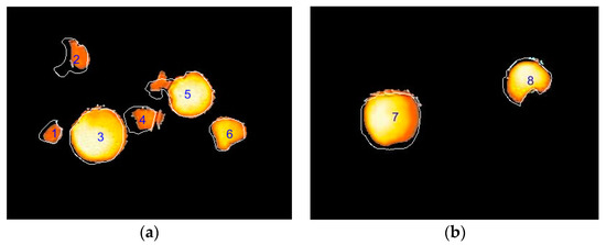 Apple Fruit Recognition Algorithm Based on Multi-Spectral Dynamic Image Analysis