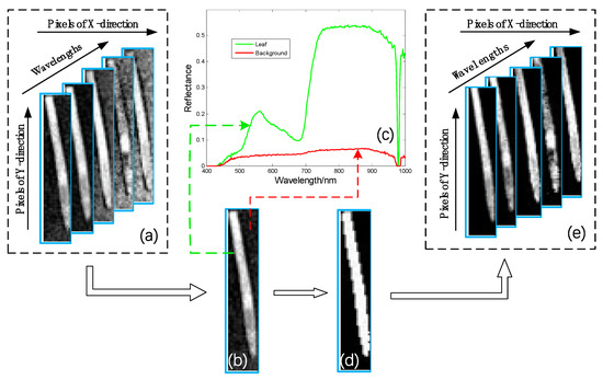 Early Visual Detection of Wheat Stripe Rust Using Visible/Near-Infrared ...