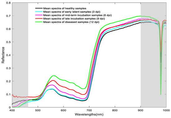 Early Visual Detection Of Wheat Stripe Rust Using Visible Near Infrared Hyperspectral Imaging