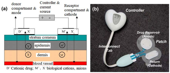 Sensors | Free Full-Text | Current Advancements in Transdermal ...