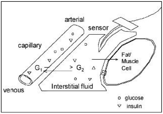 Sensors | Free Full-Text | Current Advancements in Transdermal ...
