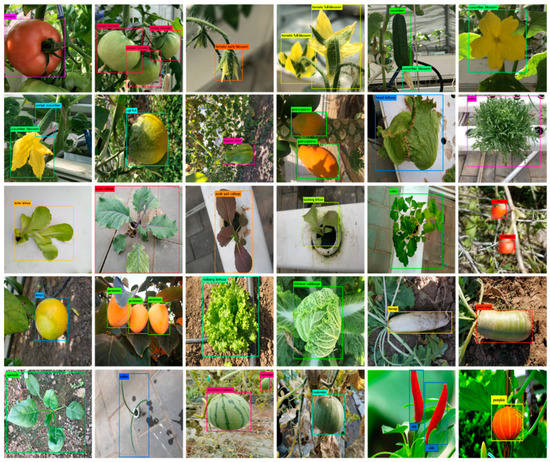 Sensors | Free Full-Text | CropDeep: The Crop Vision Dataset for Deep ...