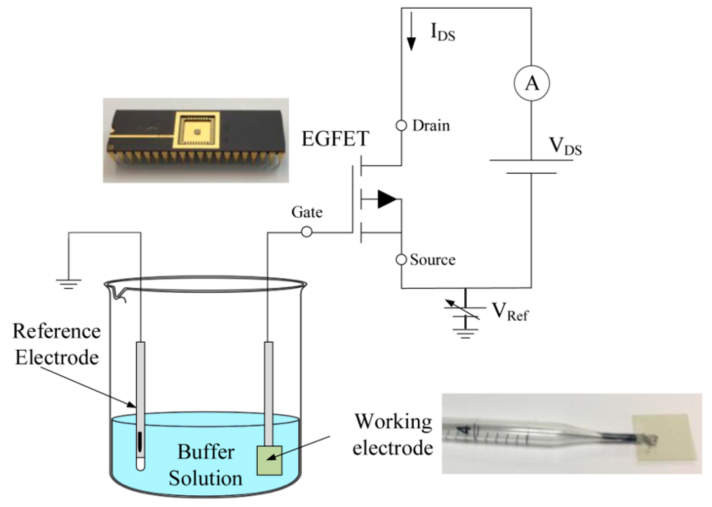 Sensors | Free Full-Text | Deep Submicron EGFET Based on Transistor ...
