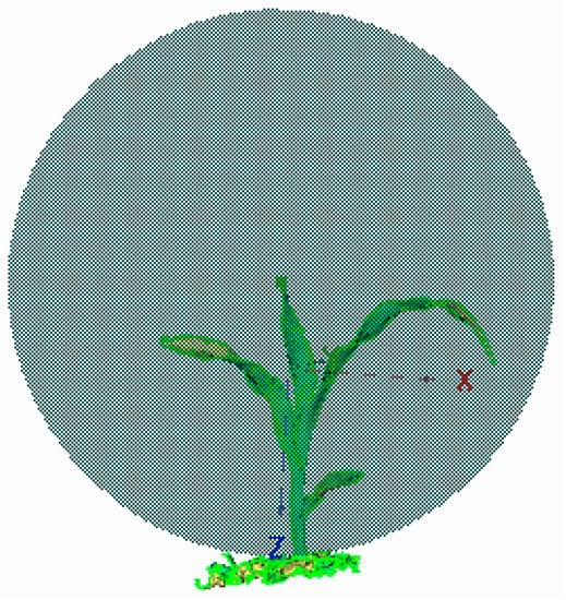 Calculation Method for Phenotypic Traits Based on the 3D Reconstruction ...